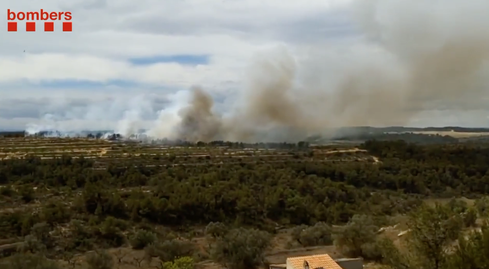 Troben el cos d'un home calcinat dins del perímetre d'un incendi a Batea - Canal 21 Ebre
